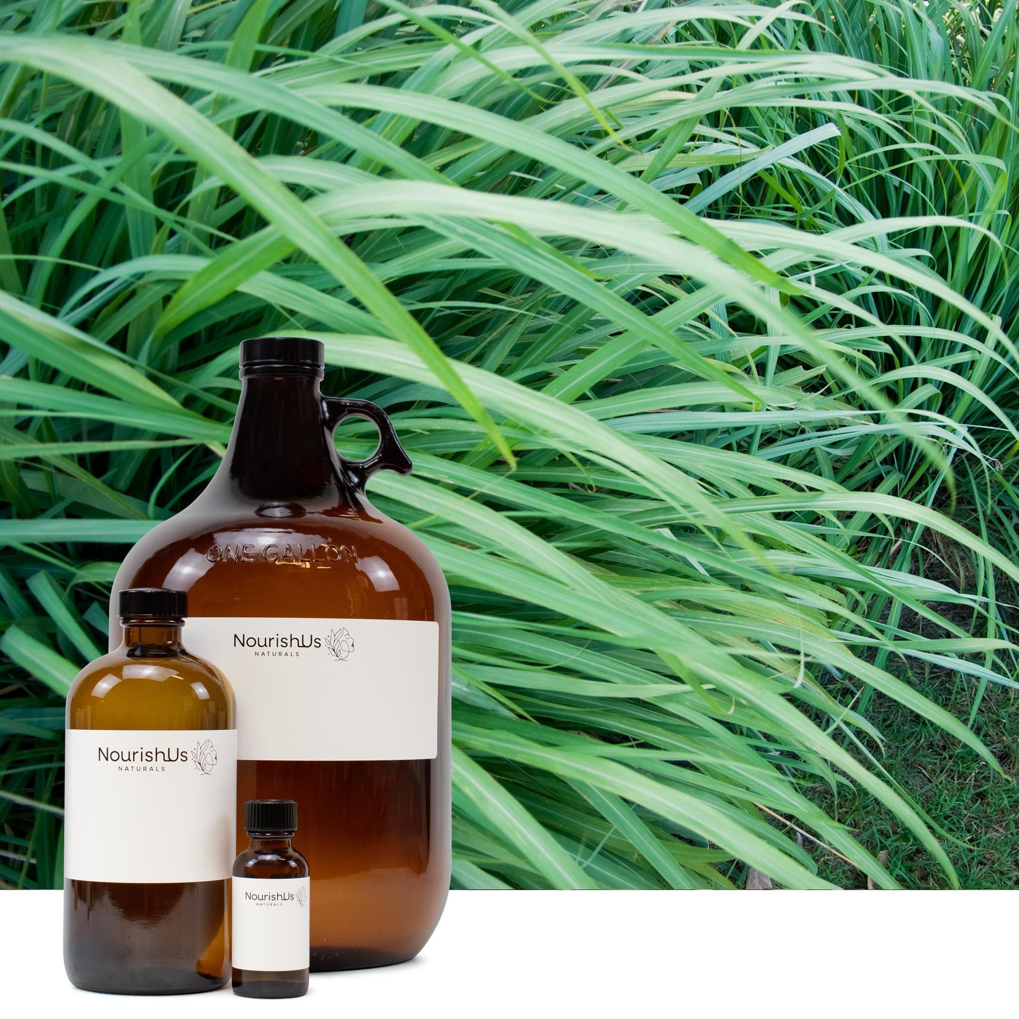 Citronella Java Essential Oil - Buy Bulk | NourishUs Naturals
