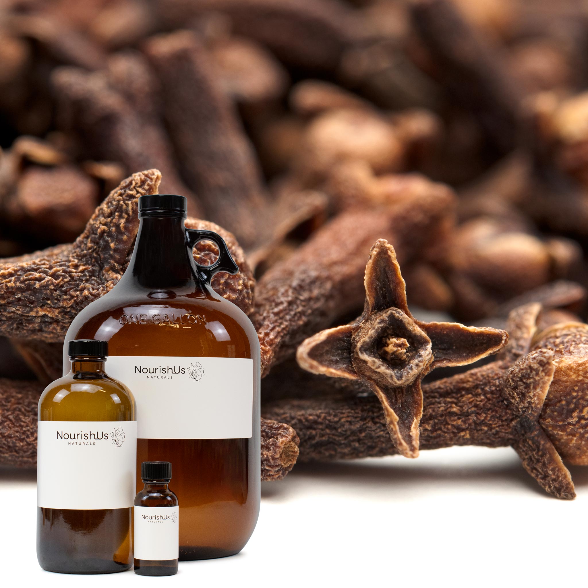 Clove Bud Essential Oil - Buy Bulk | NourishUs Naturals