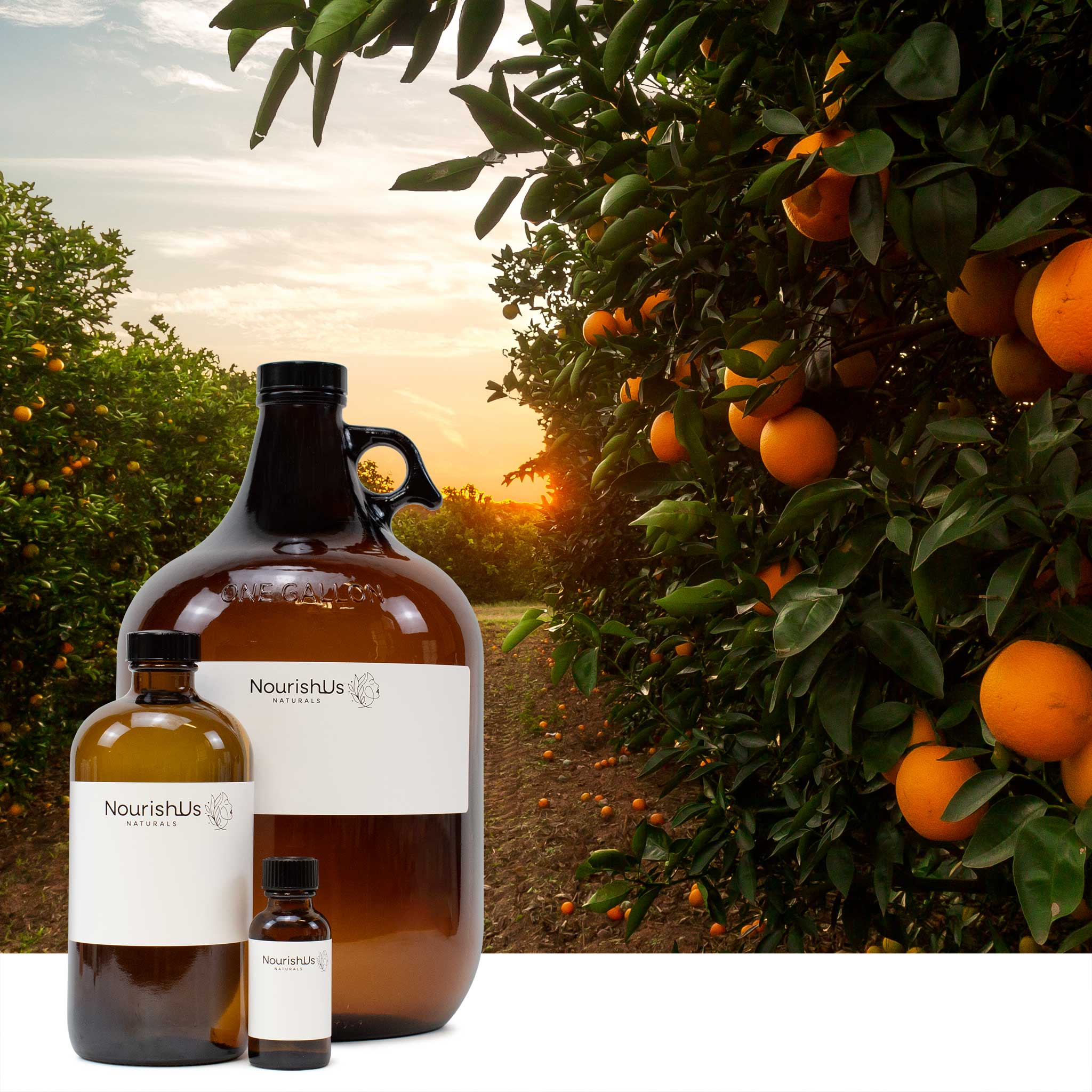 Uplifting Essential Oil Blend - Buy Bulk | NourishUs Naturals